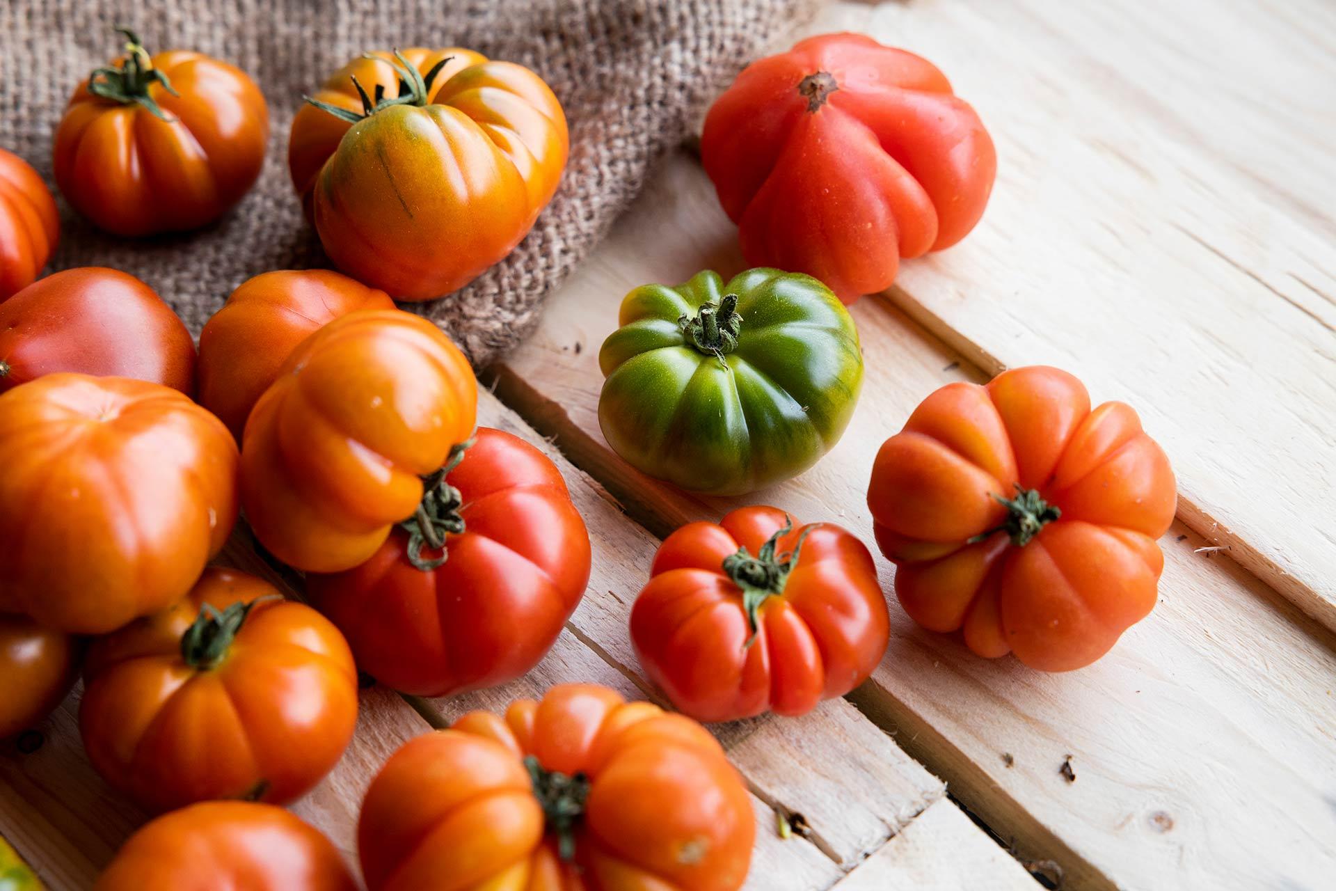 Santorini Island | Finikia Memories Hotel | Authentic Hospitality in ...